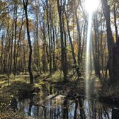 Huntley Meadows Park - 290 Photos & 88 Reviews - Parks - 3701 Lockheed ...