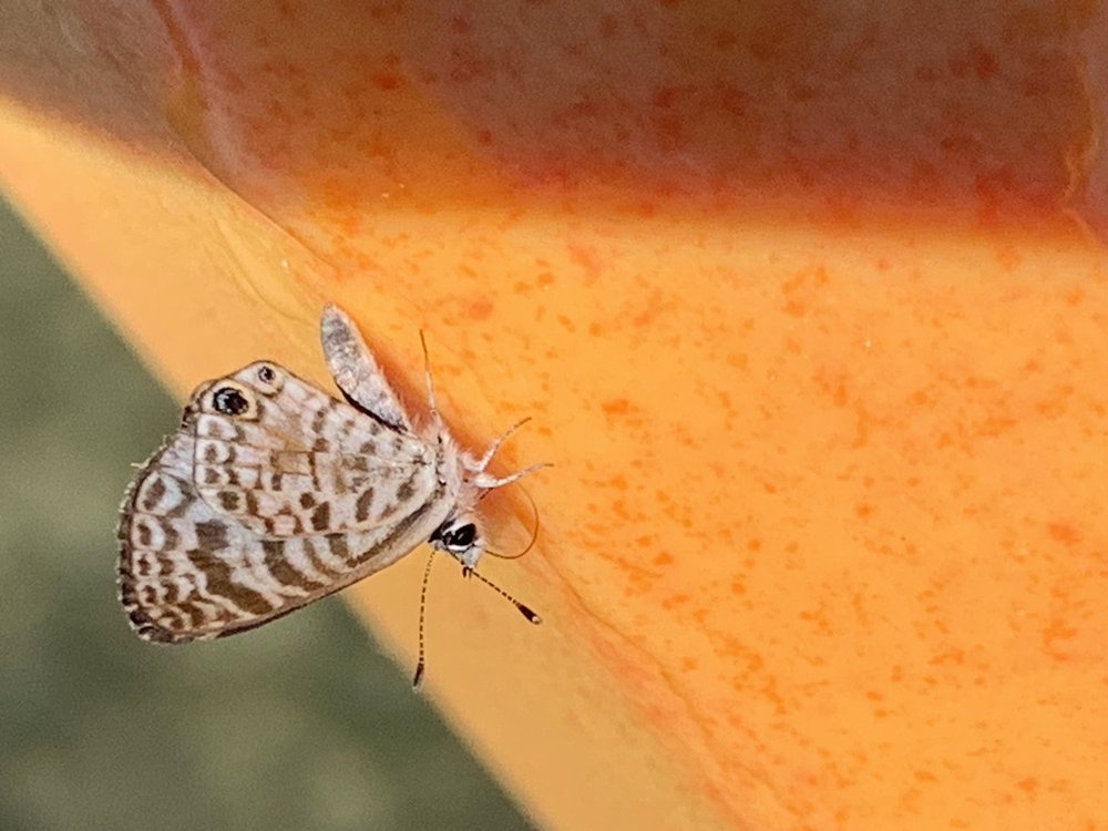 LONG KEY STATE PARK - 167 Photos & 65 Reviews - 67400 Overseas Hwy ...