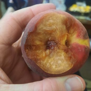 WINCO FOODS - Updated October 2025 - 325 Photos & 280 Reviews - 40435 ...