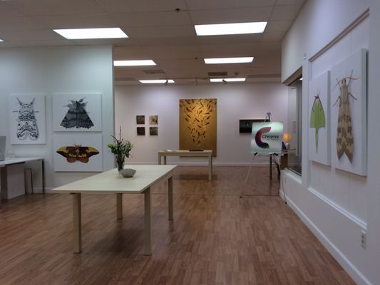 CHROMA PROJECTS - ART GALLERY - Updated July 2025 - 18 Photos - 3rd St ...