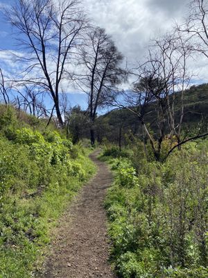 CIRCLE X RANCH - 48 Reviews & 132 Photos - 12896 Yerba Buena Rd, Malibu ...