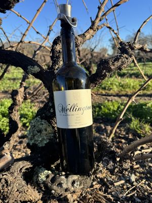 WELLINGTON CELLARS - Updated November 2024 - 81 Photos & 58 Reviews ...