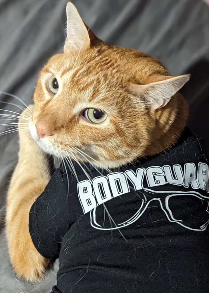 OLD TOWN SPRING RV PARK - Updated October 2025 - 26913 W Hardy Rd ...