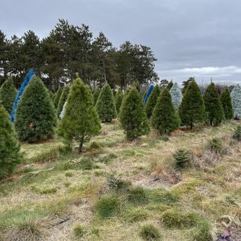 HANSEN TREE FARM - Updated November 2025 - 10 Photos - 7440 Alpine Dr ...