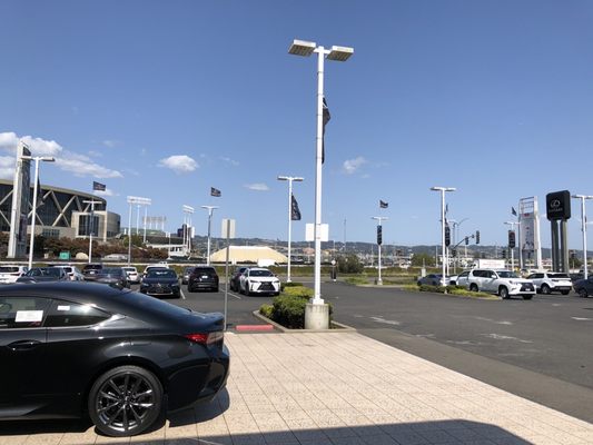COLISEUM LEXUS OF OAKLAND - Updated May 2024 - 246 Photos & 926 Reviews ...