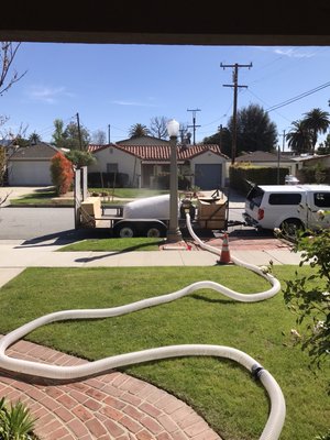 IKILL PEST CONTROL - Updated December 2025 - 102 Photos & 222 Reviews ...