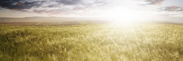 BARNEY HAMPTON FUNERAL & CREMATION SERVICE - Updated November 2025 ...