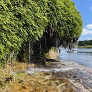 CEDAR BREAKS PARK - 152 Photos & 45 Reviews - 500 Cedar Breaks Park Rd ...