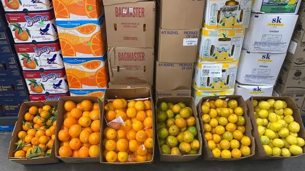 GROMEX - Updated January 2026 - 11 Photos - 43 1st St, Passaic, New ...