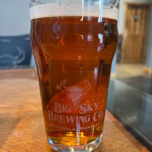 THE THOMAS MEAGHER BAR - Updated January 2026 - 210 Photos & 180 ...