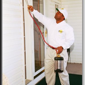 PLUNKETT’S PEST CONTROL - Updated October 2024 - 69 Reviews - 40 52nd ...