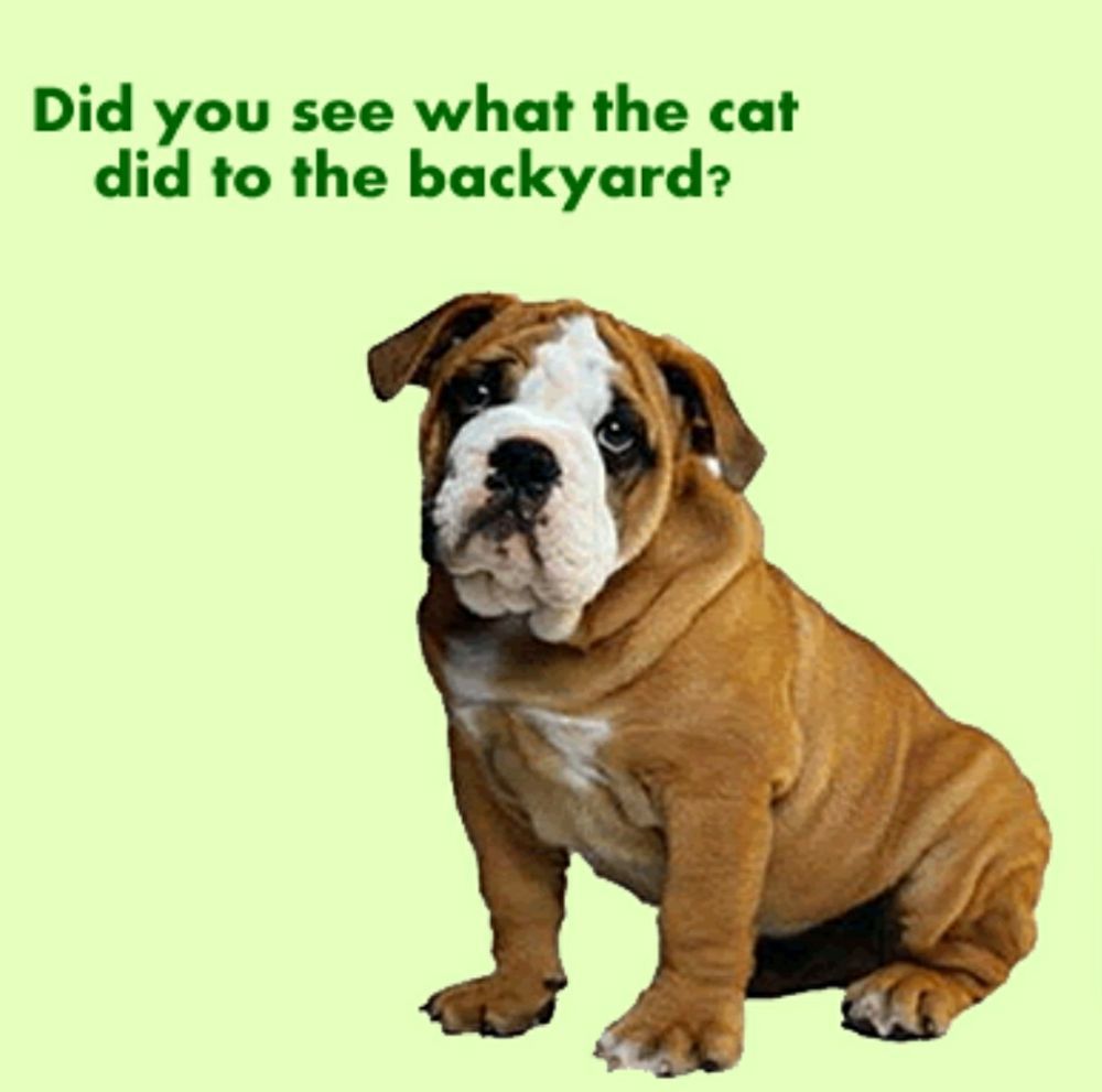 THE POOP DUDES - Updated January 2025 - 10 Photos - 344 S Prospect Ave ...