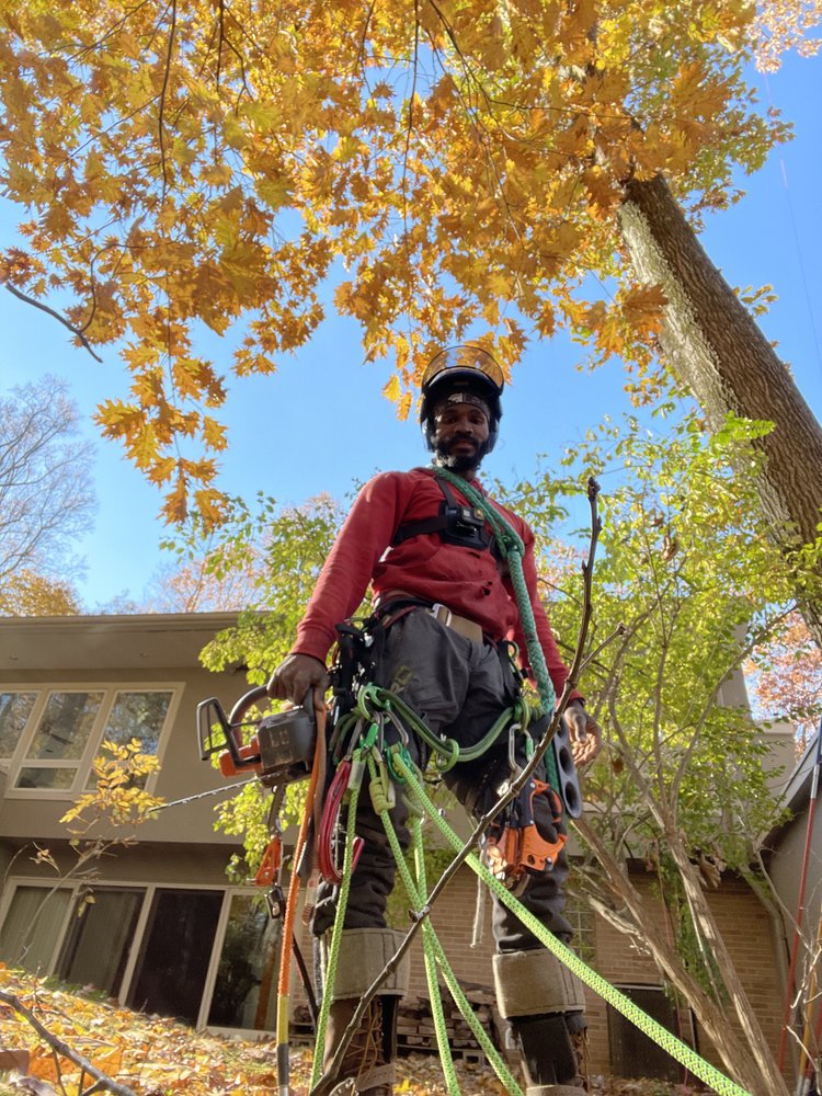 WELDING TREE - Request a Quote - Chester, PA - Yelp