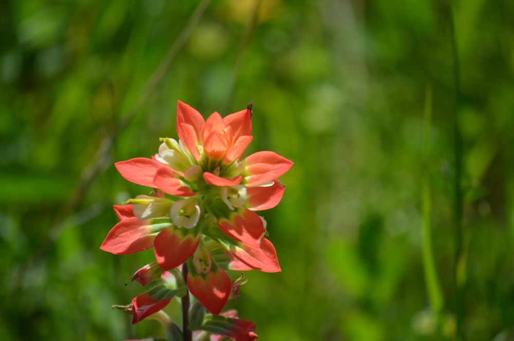 DHARMENDRA KUMAR, MD - GREATER HEIGHTS HOLISTIC PSYCHIATRY - Updated ...