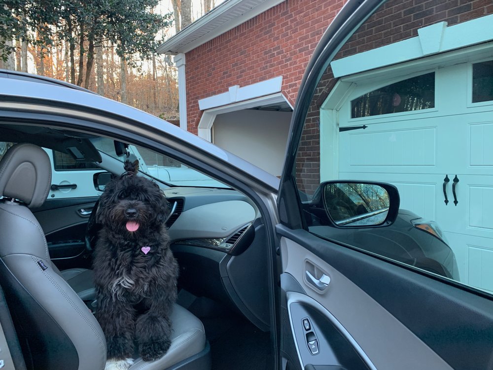 CUSTOM SUN CONTROL GLASS COATING & TINTING - Updated September 2025 ...