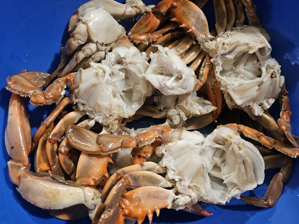 THE CRAB SHACK 2 - Updated December 2025 - 21 Photos & 37 Reviews ...