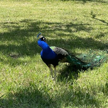 LAKE SOLANO COUNTY PARK AND CAMPGROUND - Updated October 2025 - 142 ...