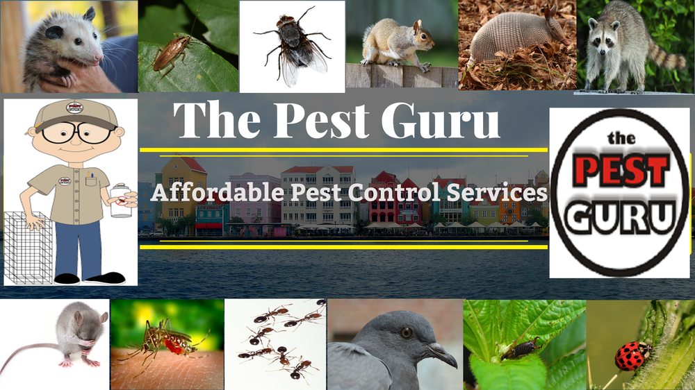 THE PEST GURU - Updated April 2024 - 31 Photos - 5455 Timber Creek Place Dr, Houston, Texas ...