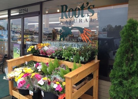 ROOTS NATURAL ORGANIC HEALTH FOODS - Updated December 2025 - 10 Reviews ...