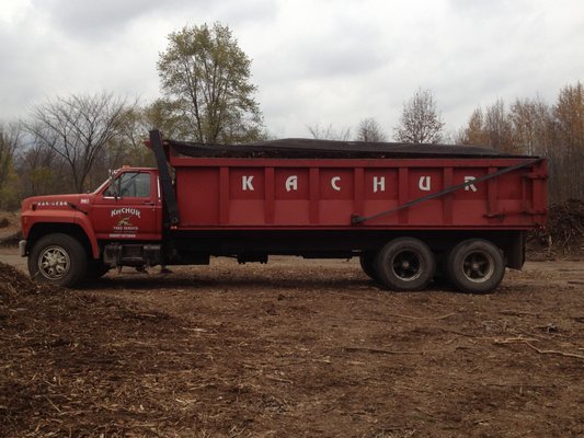 KACHUR TREE SERVICE - Updated December 2025 - 45 Photos - 316 Fulkerson ...