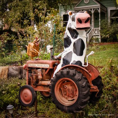 Patrick Amiot Sculpture Art- Florence Avenue - 74 Photos & 19 Reviews ...