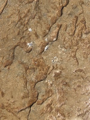 ALOHA POOLS & SPAS OF JACKSON - Updated December 2025 - 14 Photos & 32 ...