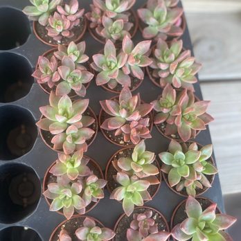 ISAAC FARMS - Updated January 2026 - 456 Photos & 113 Reviews - 18800 ...