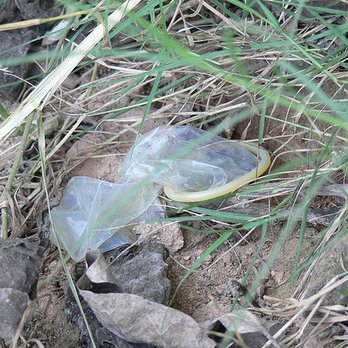 PAUL RUSTER PARK - Updated October 2025 - 58 Photos & 15 Reviews ...