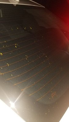 HARWIN AUTO STORAGE - Updated November 2025 - 18 Photos & 33 Reviews ...