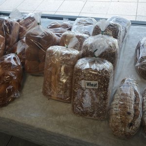 BELDOTTI BAKERY - 62 Photos & 56 Reviews - 605 Newfield Ave, Stamford ...