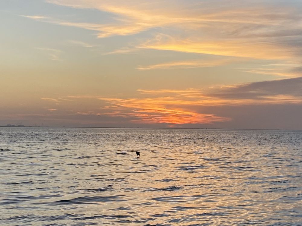 CYPRESS POINT PARK - 271 Photos & 71 Reviews - Parks - 5620 W Cypress ...