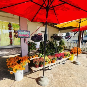 BROTHERS FLOWERS - Updated December 2025 - 936 S Main Ave, Fallbrook ...