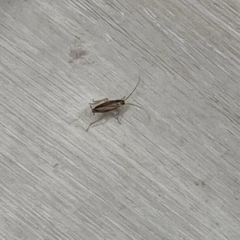 FUN PARK - Updated June 2024 - 39 Photos & 14 Reviews - 2441 Durant Ave ...