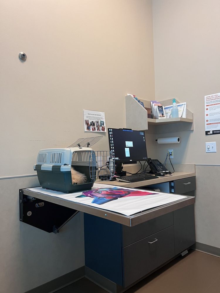 NORTHPOINTE ANIMAL HOSPITAL - Updated September 2025 - 32 Photos & 103 ...