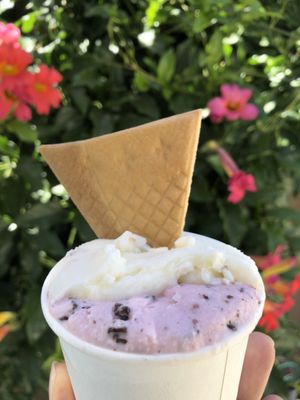 GELATO CLASSICO ITALIAN ICE CREAM - 313 Photos & 464 Reviews - Gelato ...