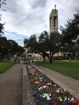 BASILICA OF OUR LADY OF SAN JUAN DEL VALLE - NATIONAL SHRINE - Updated ...