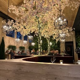 LUPESSA - Updated October 2025 - 612 Photos - 248 Reviews - 156 S 400th ...