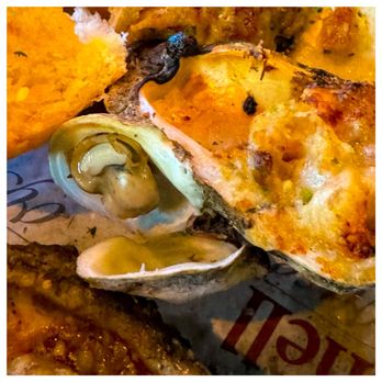 HALF SHELL OYSTER HOUSE - Updated June 2025 - 646 Photos & 381 Reviews ...