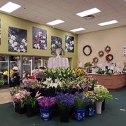 FLOWER GALLERY OF VIRGINIA - 51 Photos & 60 Reviews - 10816 Sudley ...