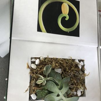 SAN DIEGO PUBLIC LIBRARY - OTAY MESA-NESTOR BRANCH LIBRARY - Updated ...