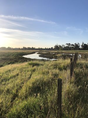 BAYLANDS PARK TRAIL - Updated November 2025 - 380 Photos & 129 Reviews ...