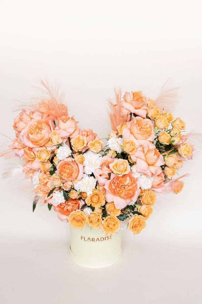 FLORADISE - Updated October 2025 - Request Information - 16 Photos ...