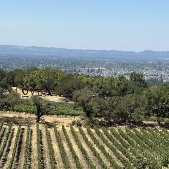 PARADISE RIDGE WINERY - Updated August 2025 - 748 Photos & 326 Reviews ...