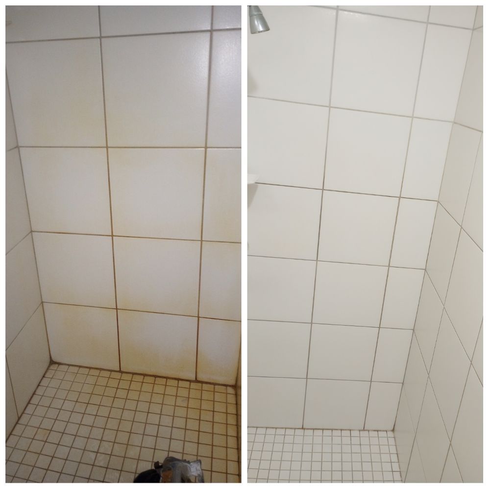 TRUE CLEAN EXPERTS - Updated December 2024 - London, Ontario - Home ...