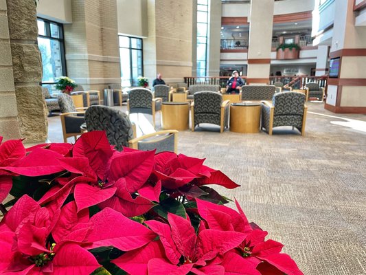 NORTHWESTERN MEDICINE CENTRAL DUPAGE HOSPITAL - Updated January 2026 ...