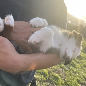 BERKELEY FIRE TRAILS - 382 Photos & 105 Reviews - Centennial Dr ...