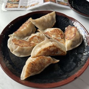 DUMPLING MASTER - Updated September 2025 - 152 Photos & 56 Reviews ...
