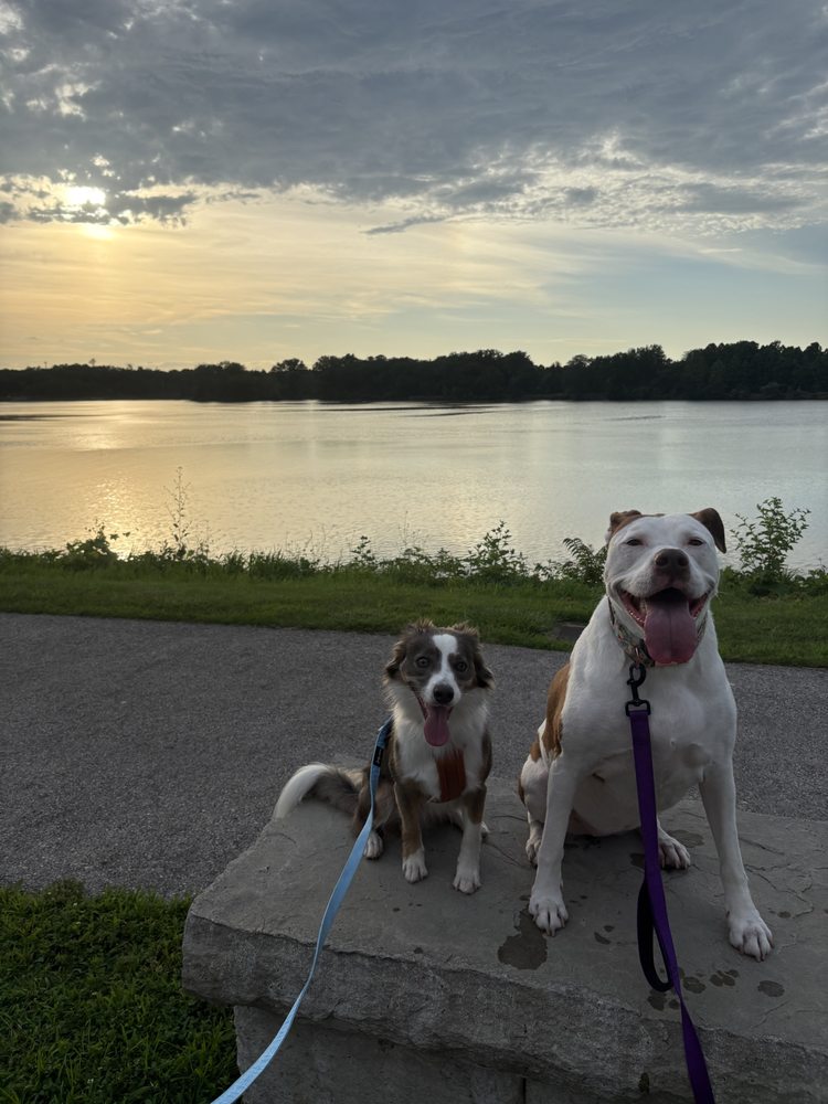 TAILS TALES - Updated July 2025 - Request a Quote - 1986 Coe Ct ...