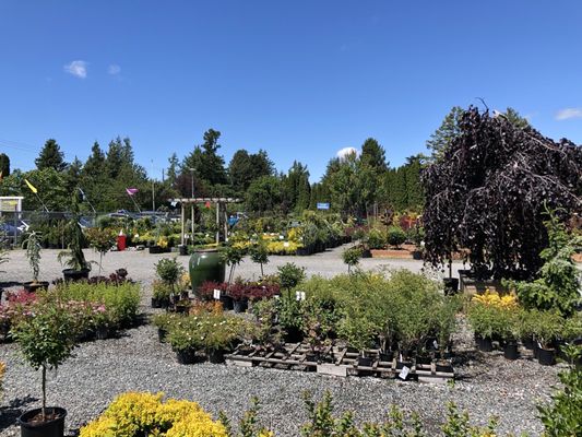 KENT’S GARDEN & NURSERY - 27 Photos & 18 Reviews - 5428 Northwest Dr ...