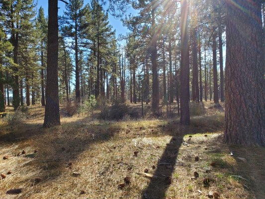 PATHFINDER RANCH - 25 Photos & 12 Reviews - 35510 Pathfinder Rd ...